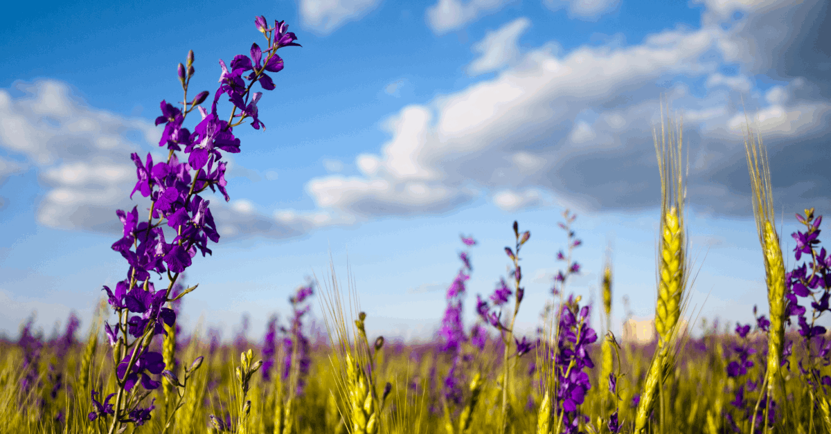 Hommik nõustajaga: ESG ja kuidas see Eesti ettevõtteid mõjutab? | Grant ...